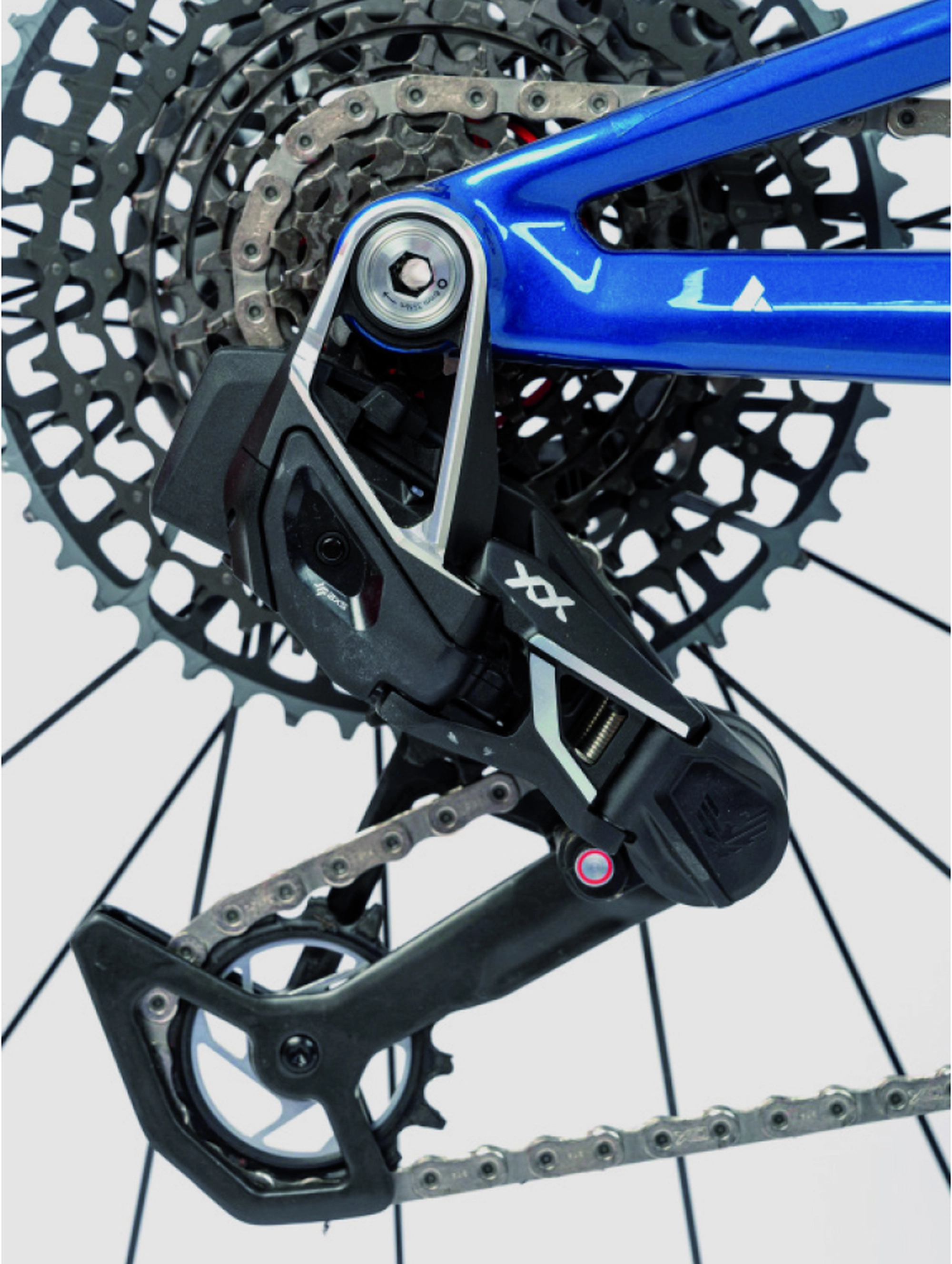 Bulls Wild Edge Team